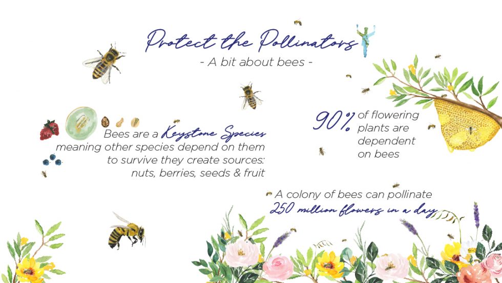 Earth Week: Protect the Pollinators - Meriwether Godsey